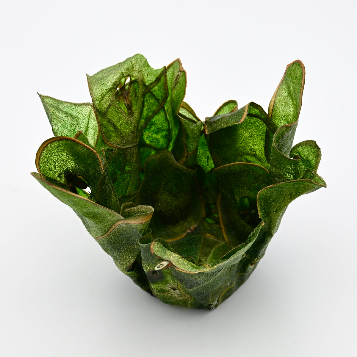 Pear Parchment Bowl By Margaret Dorfman – ACCI Gallery